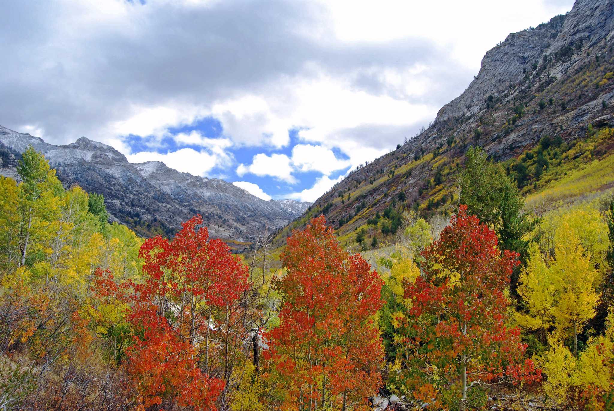 Elko and the Ruby Mountains Elko and the Ruby Mountains