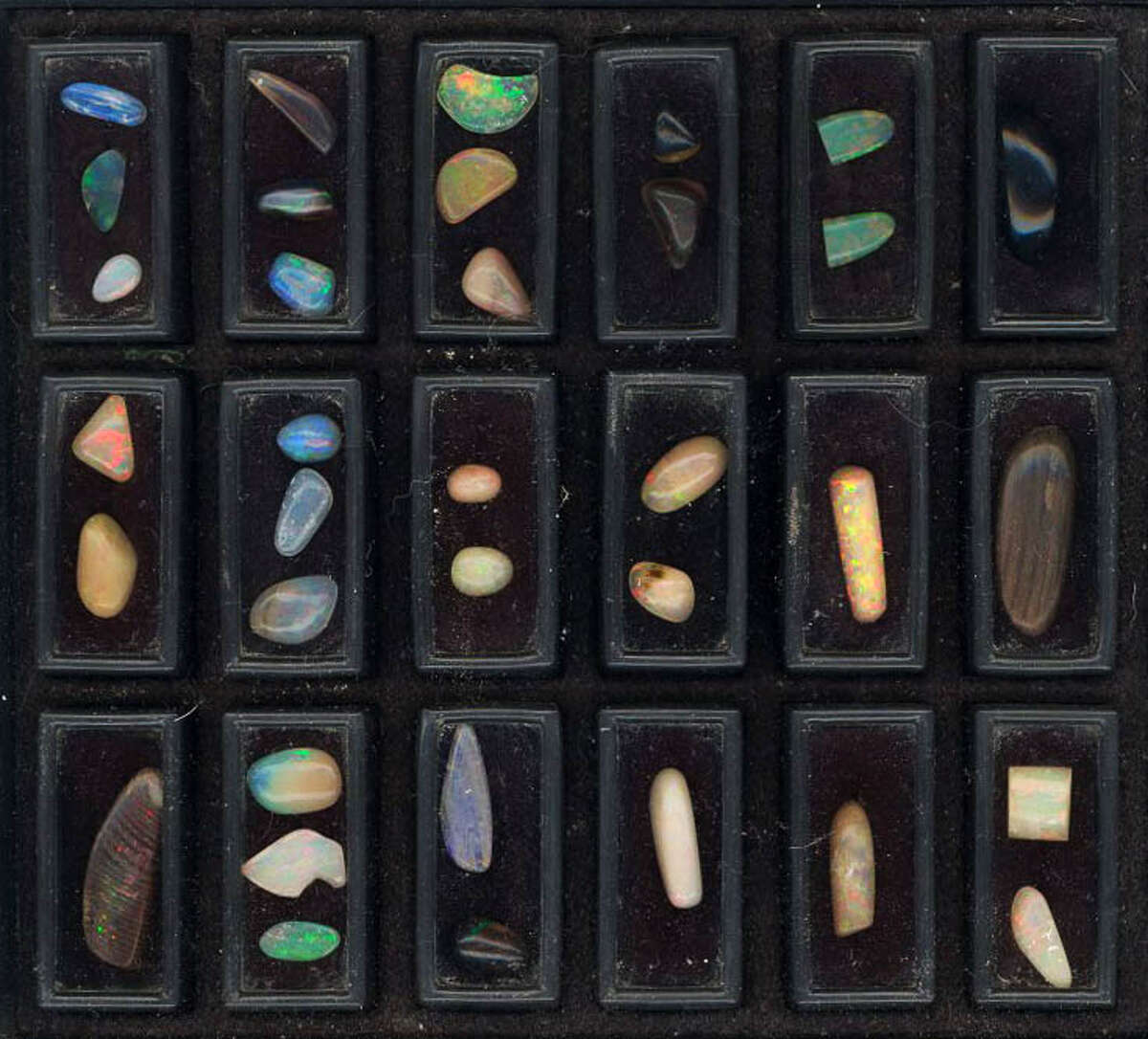 Mining for Black Opals in Nevada