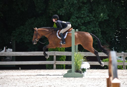 Annual Ox Ridge show canceled