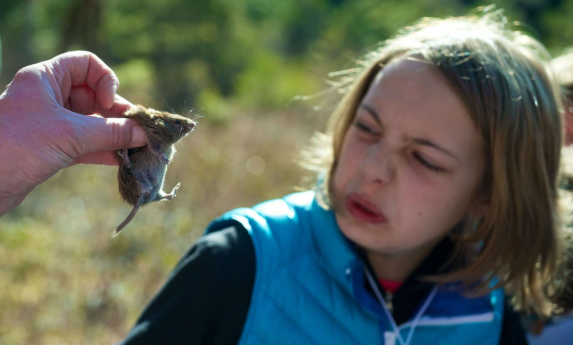 Kids get a chance to meet nature at UC’s BioBlitz