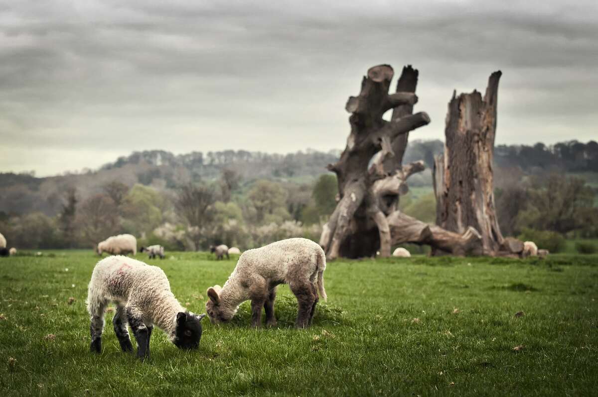 The Cotswolds - so scenic it looks like a fairy tale