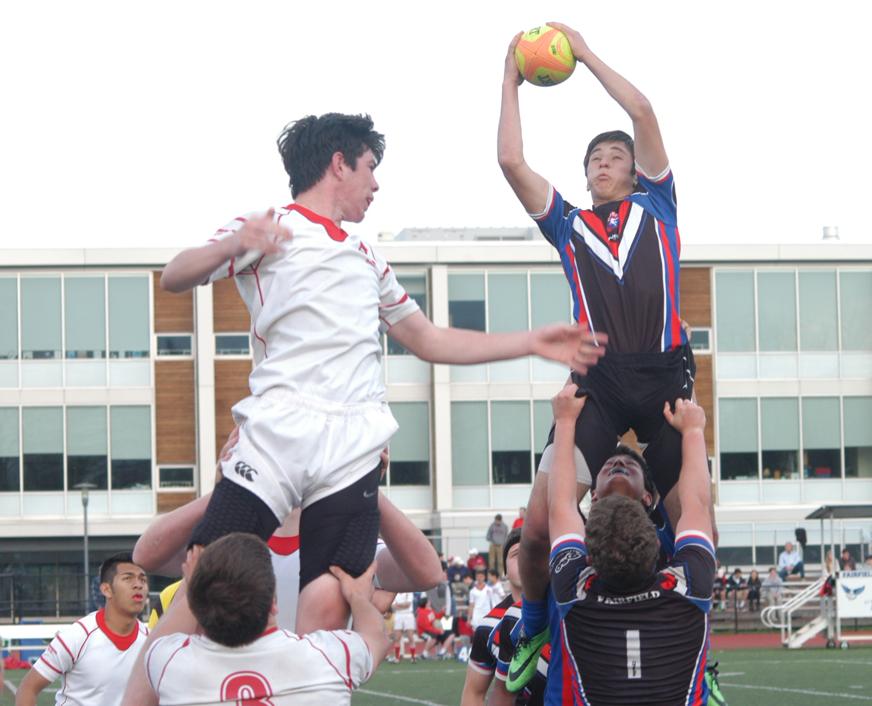 Fairfield rugby teams experiencing success