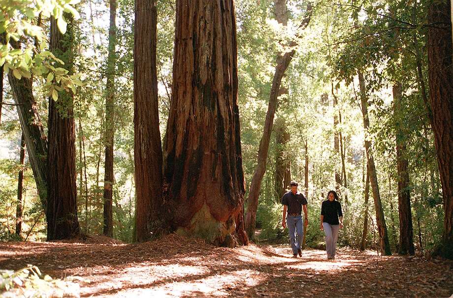 Best cycling routes for safe, beautiful ride - SFGate