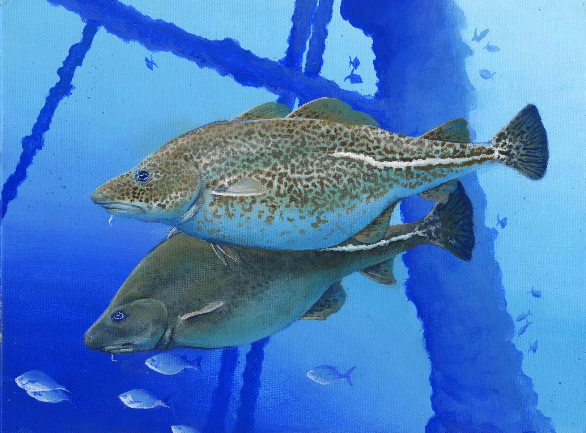 Texas State-Fish Art Contest Announces 2014 Winners