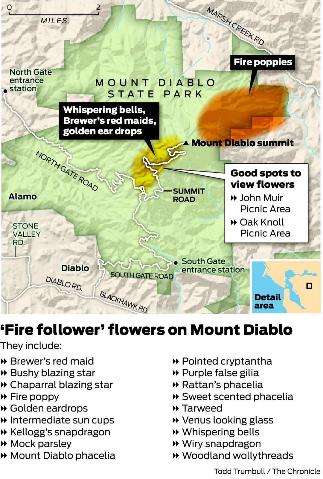 After inferno, Mt. Diablo bursts with long-hidden flowers