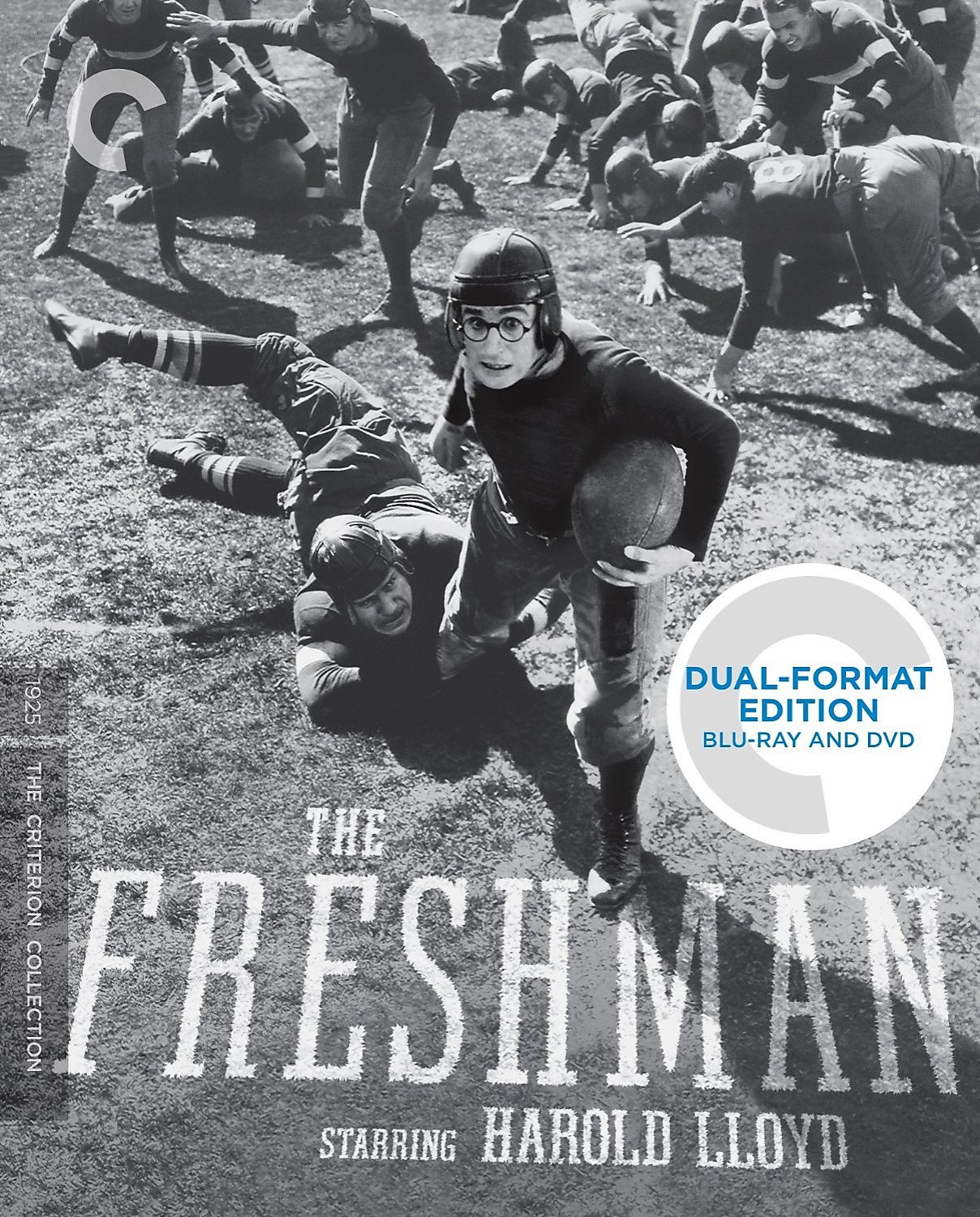 DVD review: 'The Freshman'