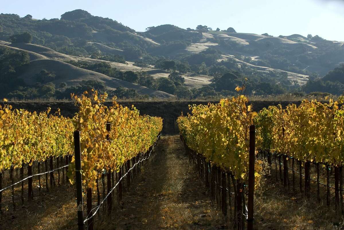 Anderson Valley growing as destination for wine and cheese