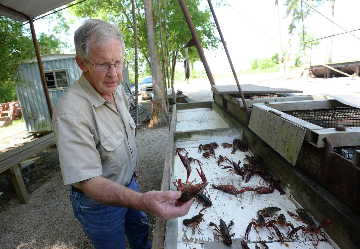 Some of our favorite places for crawfish