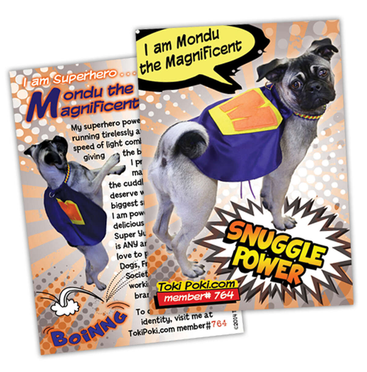 Trading cards have gone to the dogs