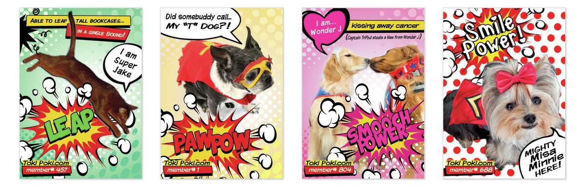 Trading cards have gone to the dogs
