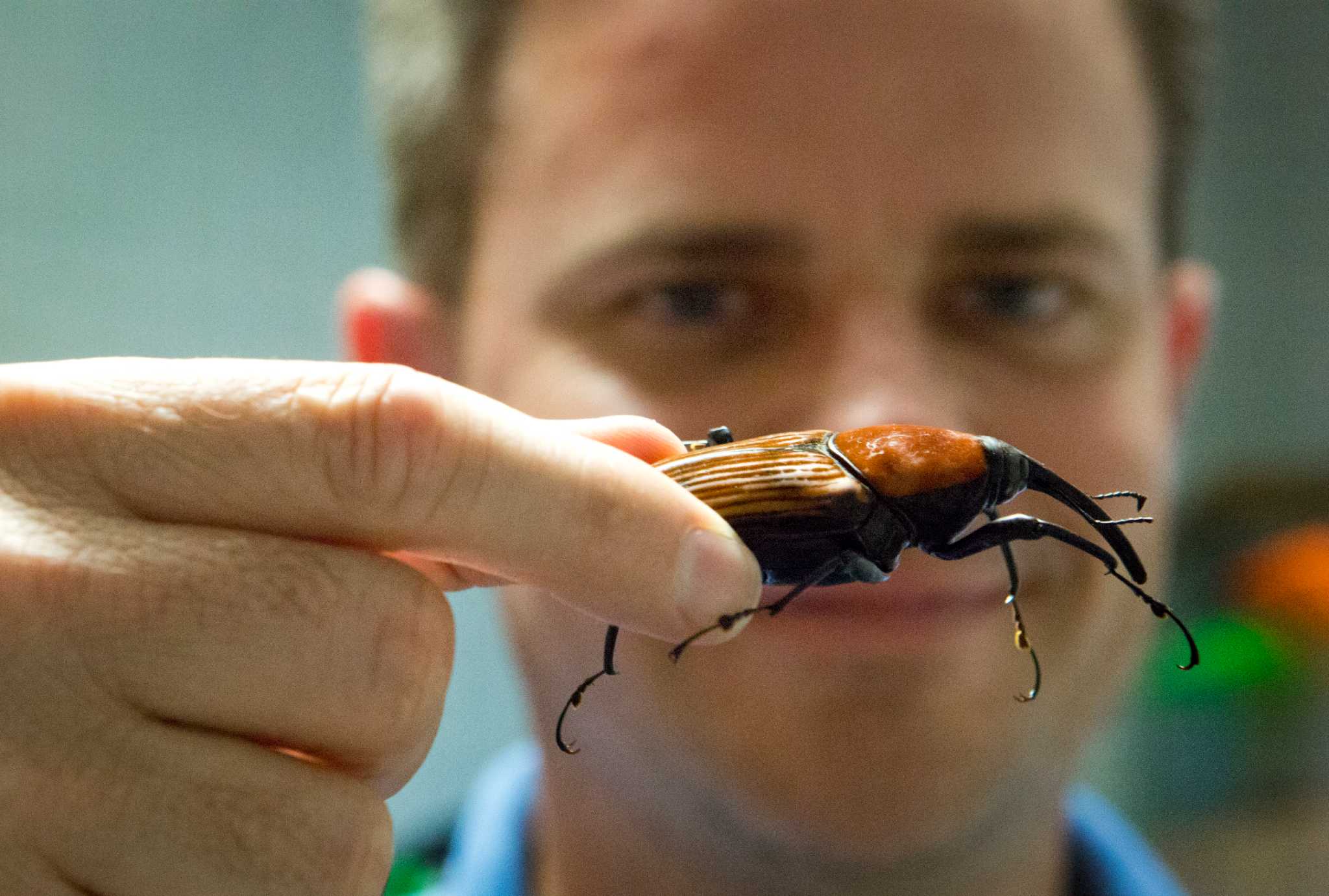 Bug House to open at Houston Zoo