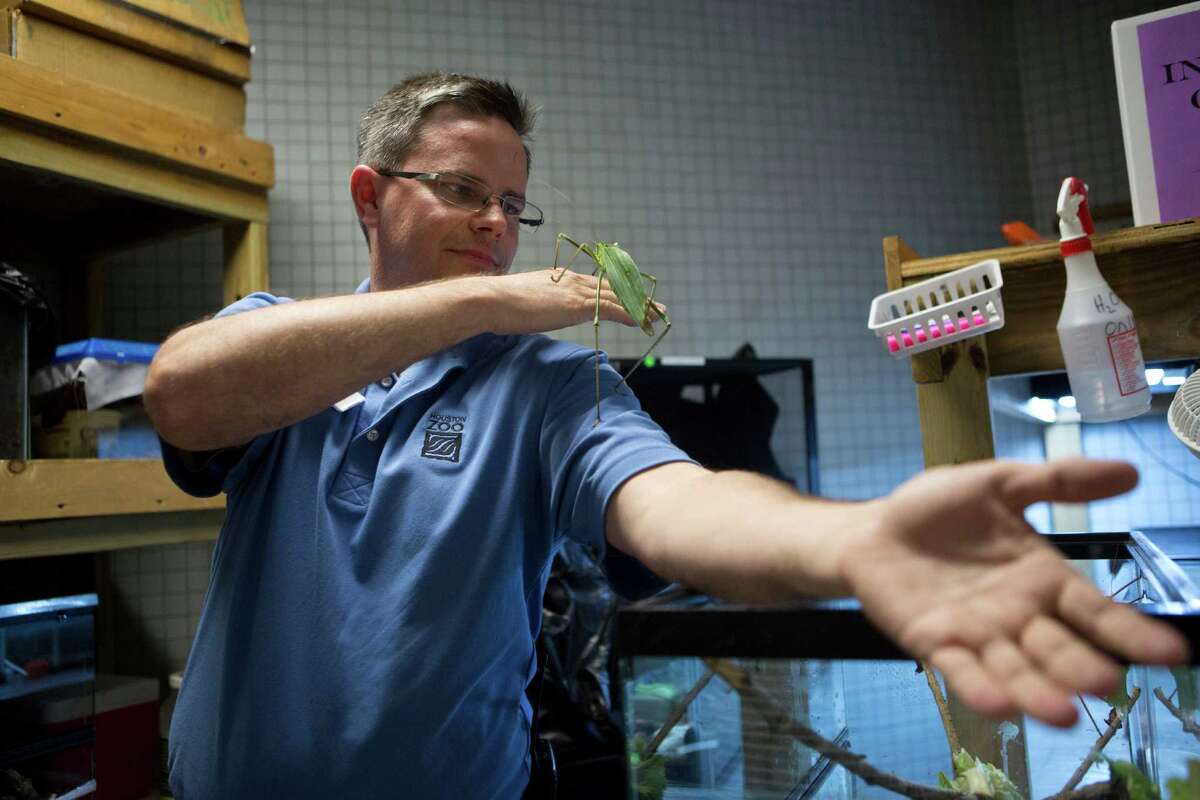 Bug House to open at Houston Zoo