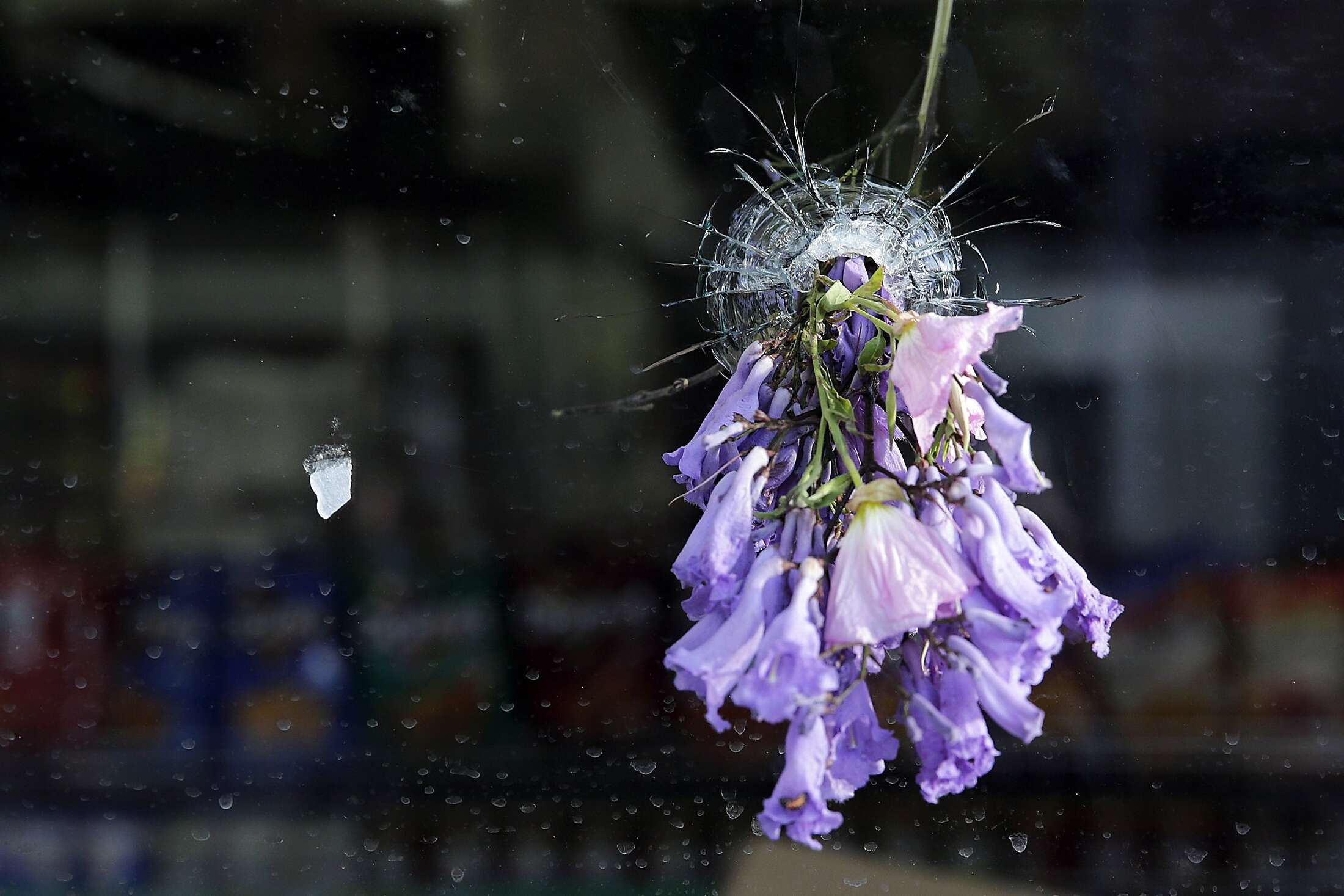 Three victims in Santa Barbara rampage from Bay Area