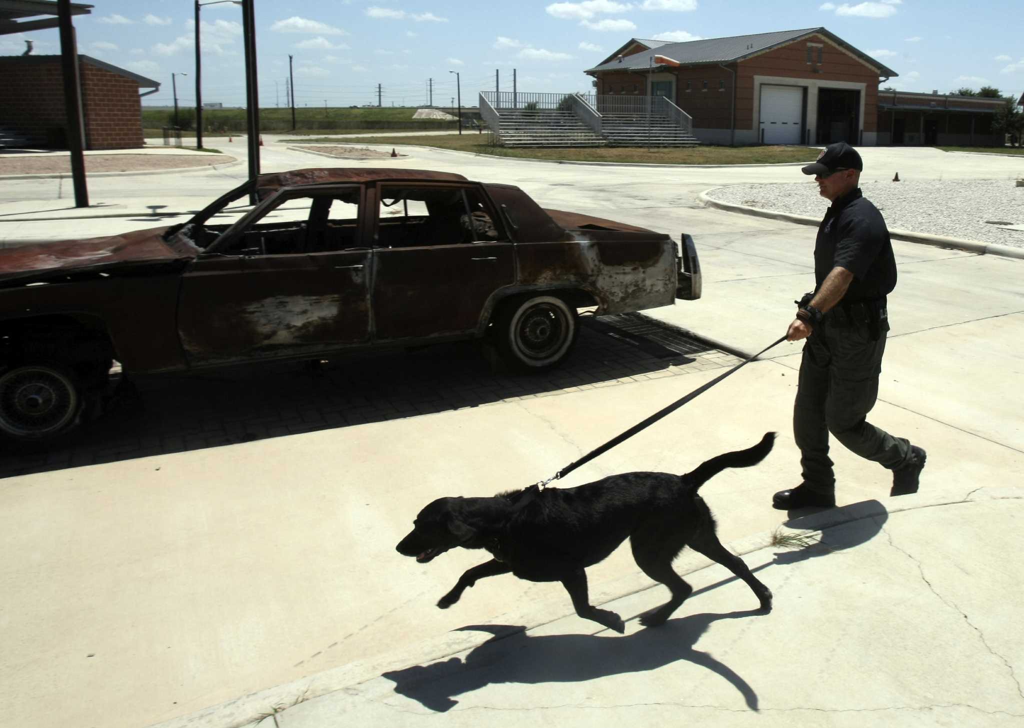 Local arson canine in the running for America's hero dog