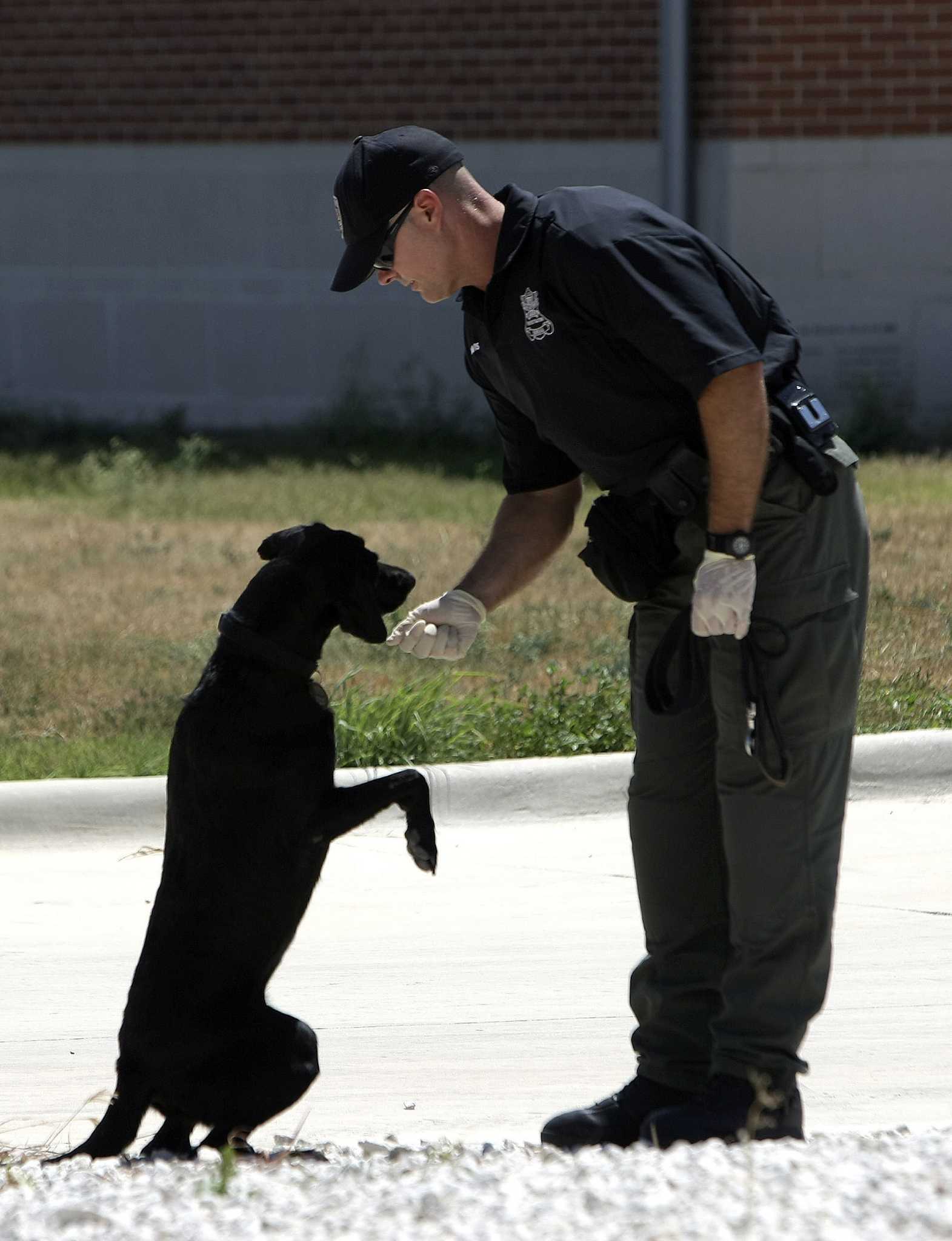 Local arson canine in the running for America's hero dog