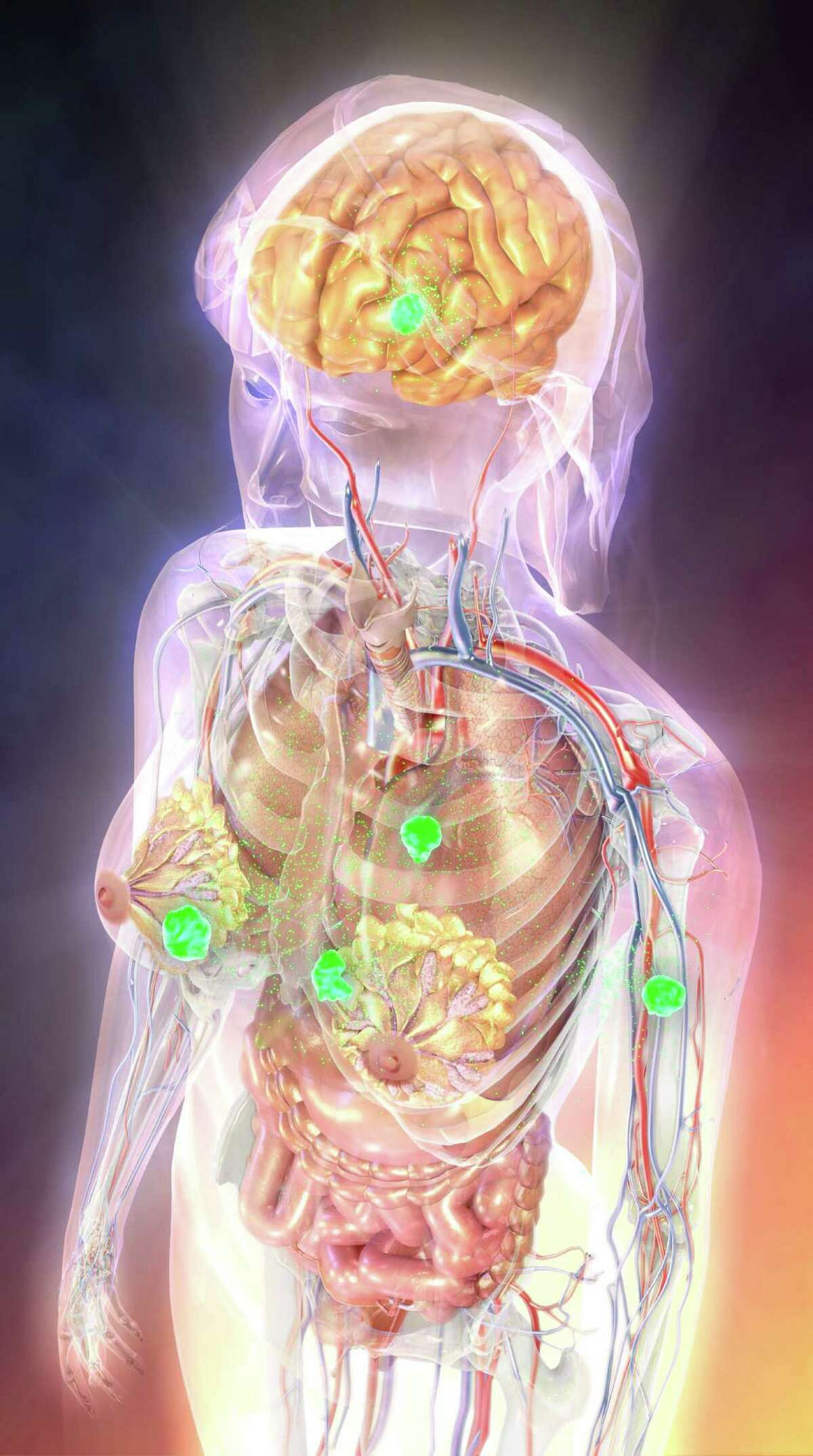 Texas Medical Animator Taking On Webmd