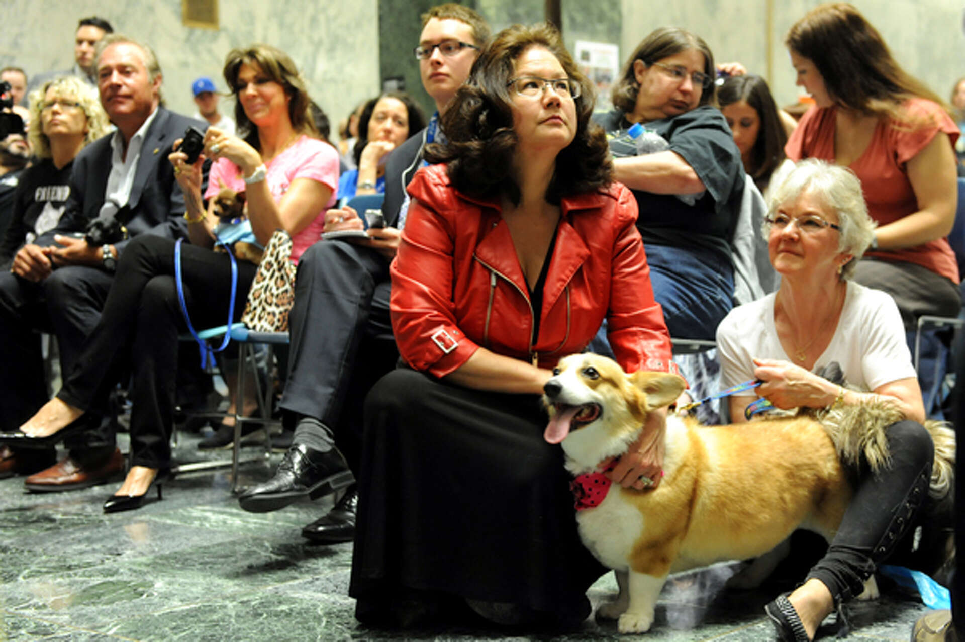 Photos: This week at the State Capitol