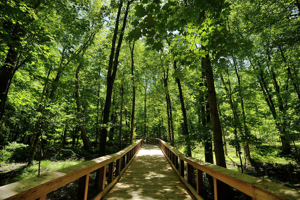 Best fall foliage walks and hikes in western Connecticut