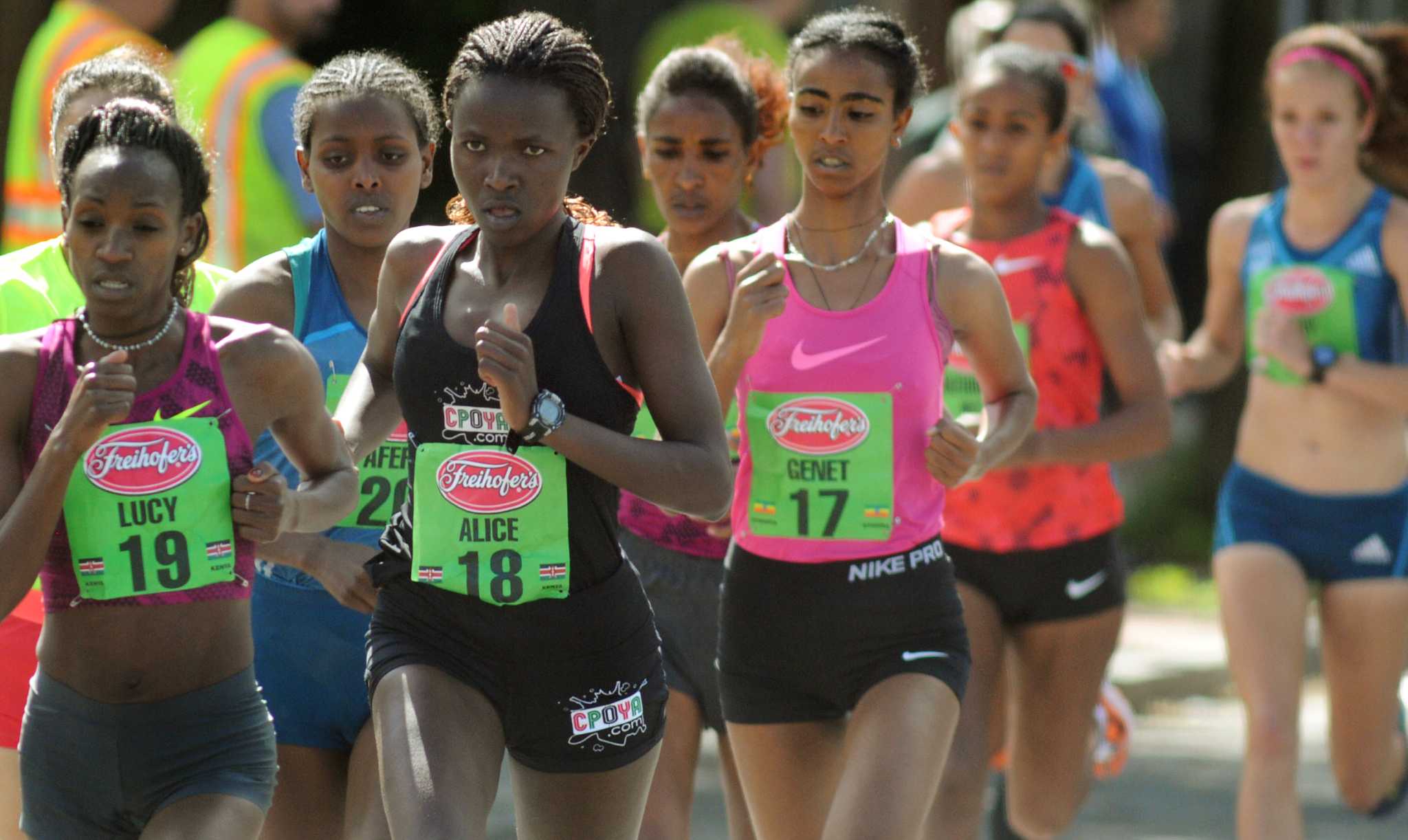 Sheehan plans to run in '15