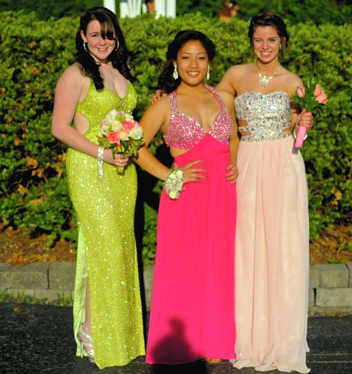 SEEN: 2014 Troy High School Prom