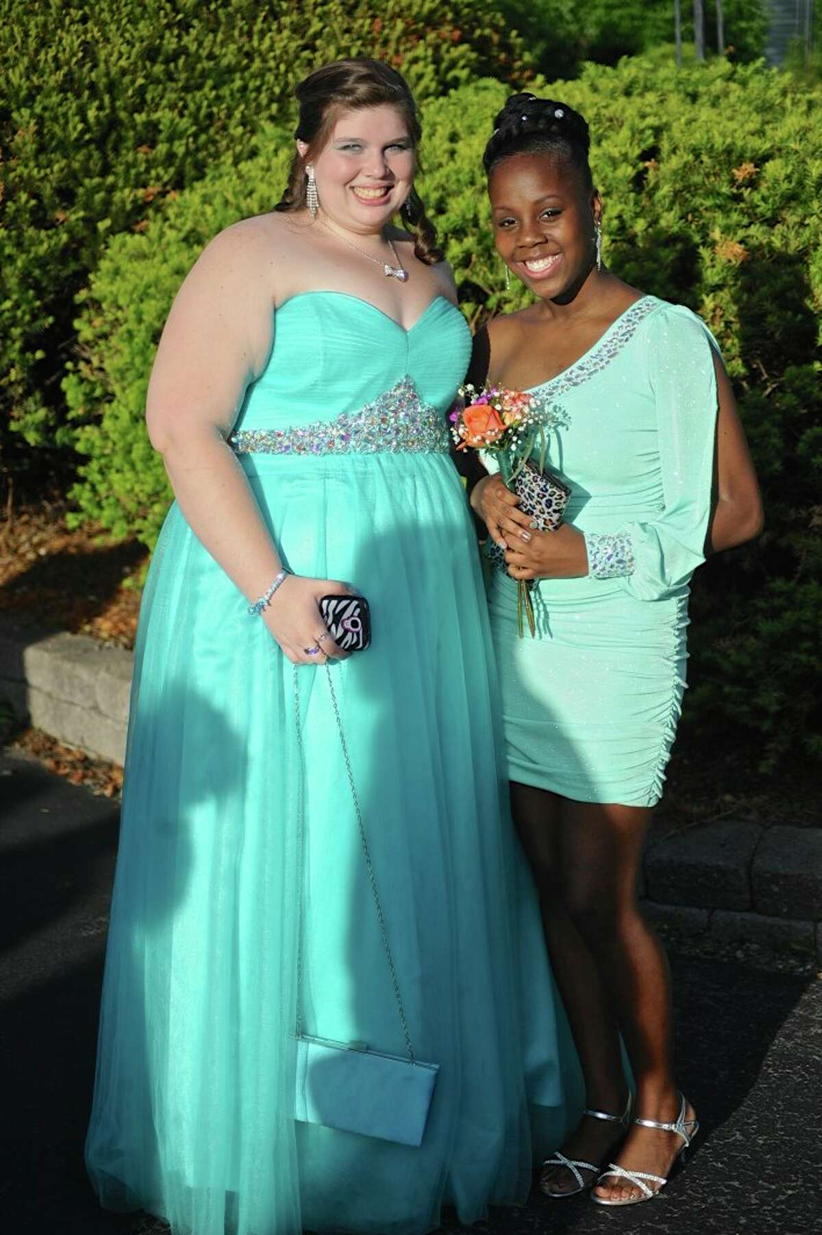 SEEN: 2014 Troy High School Prom