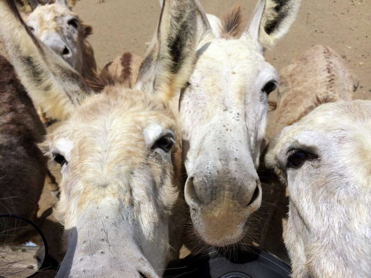 Beyond scuba diving in Bonaire