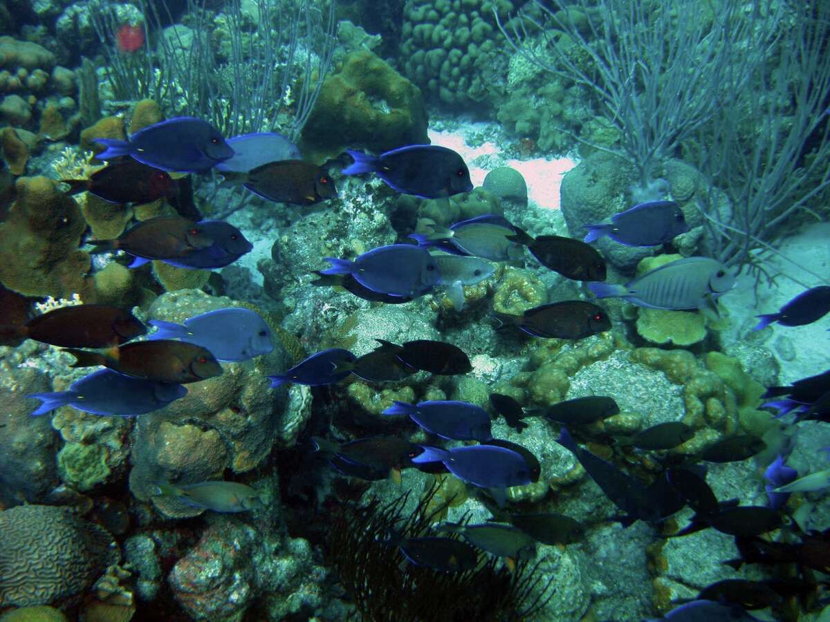 Beyond scuba diving in Bonaire