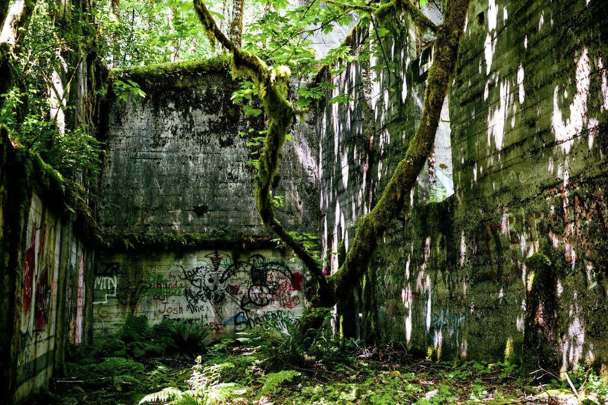 Spooky sights: Exploring Washington's ghost towns, abandoned areas