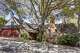 Storybook built by Carr Jones available in Piedmont