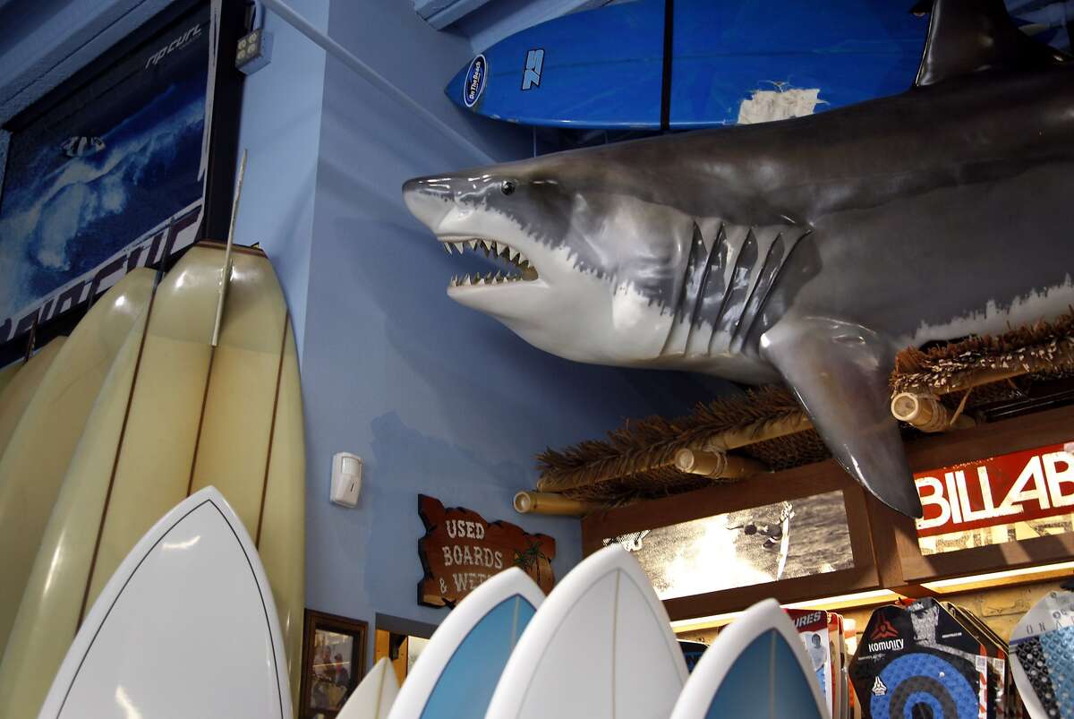 On the Beach Surf Shop owner: 'I'm living the dream'