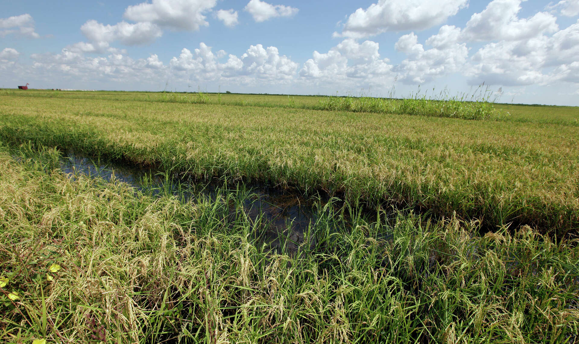A Category 5 Texas Hurricane: Where landfall would be worst