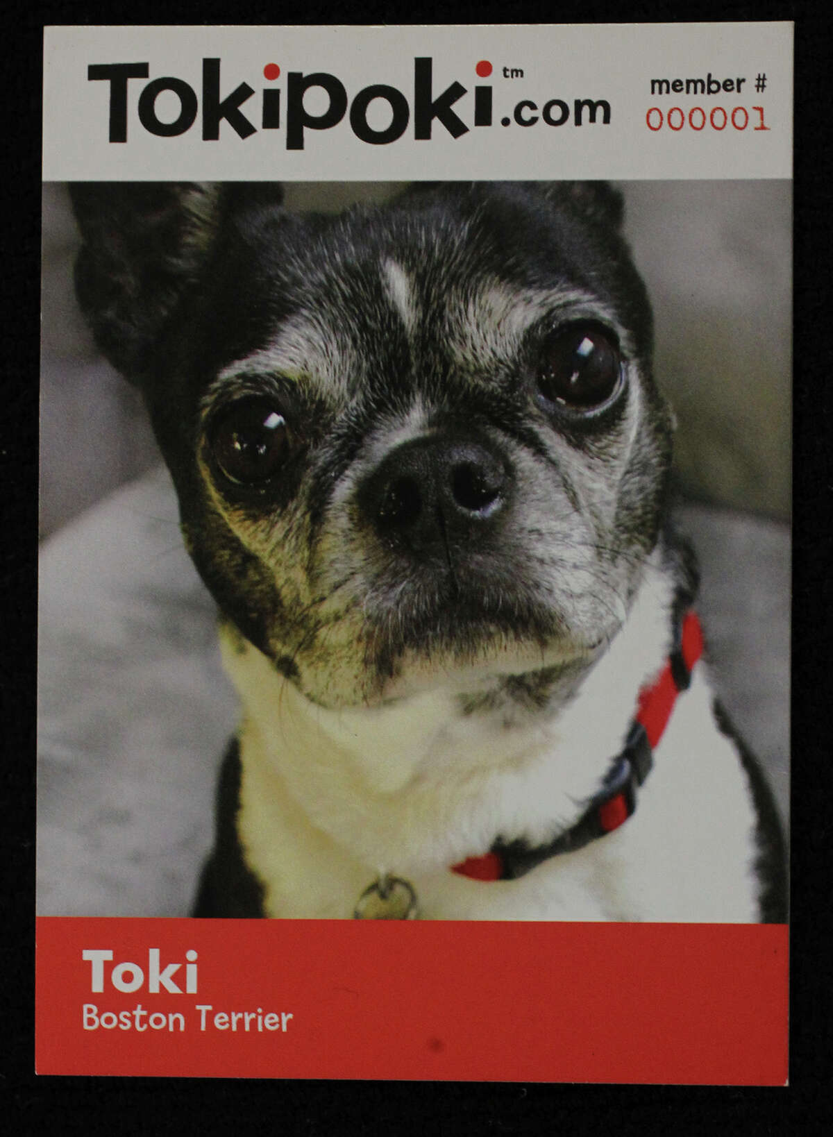 The power of Toki Poki