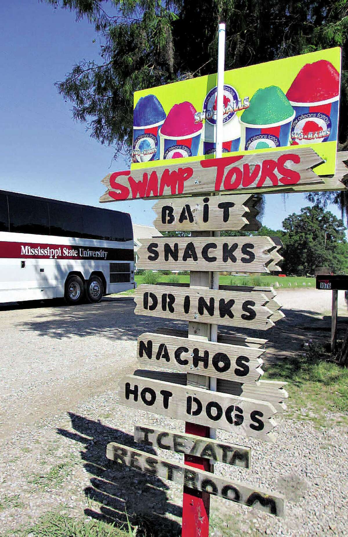 Louisiana swamp tour