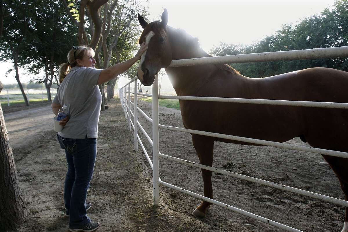 'Miracle story' of California Chrome's blue-collar owners