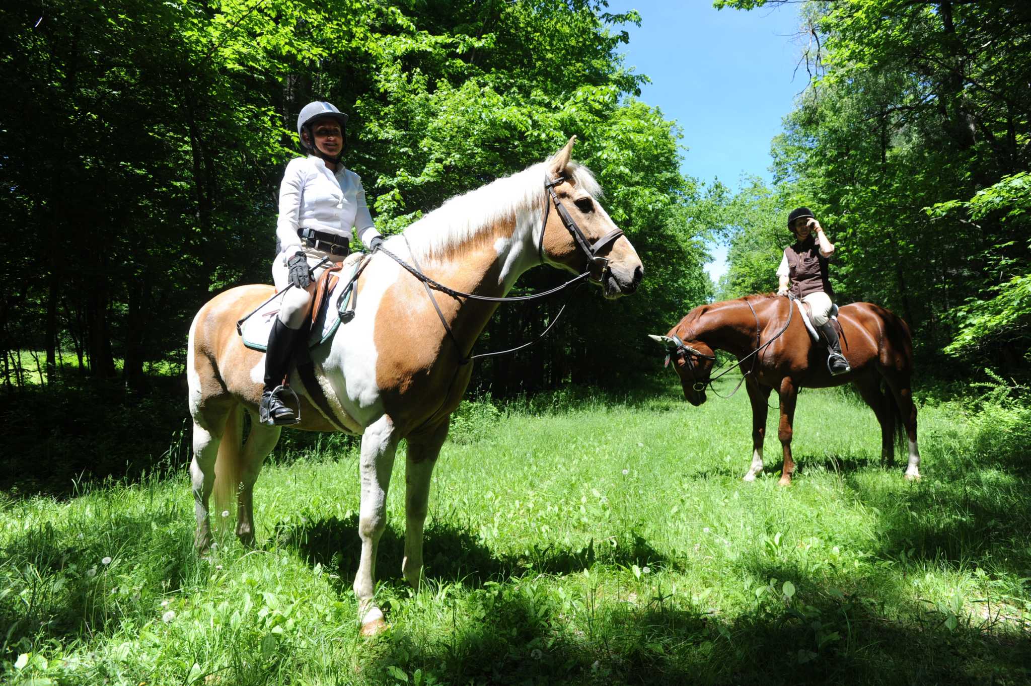 Group gallops through 100 years