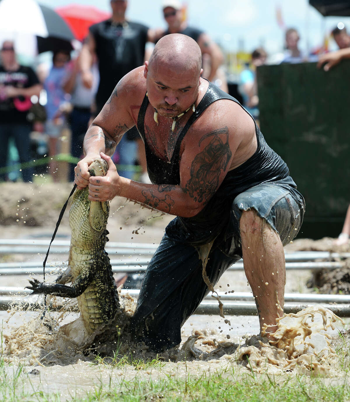 Photos: Gator Country nabs 400 pound monster in Groves