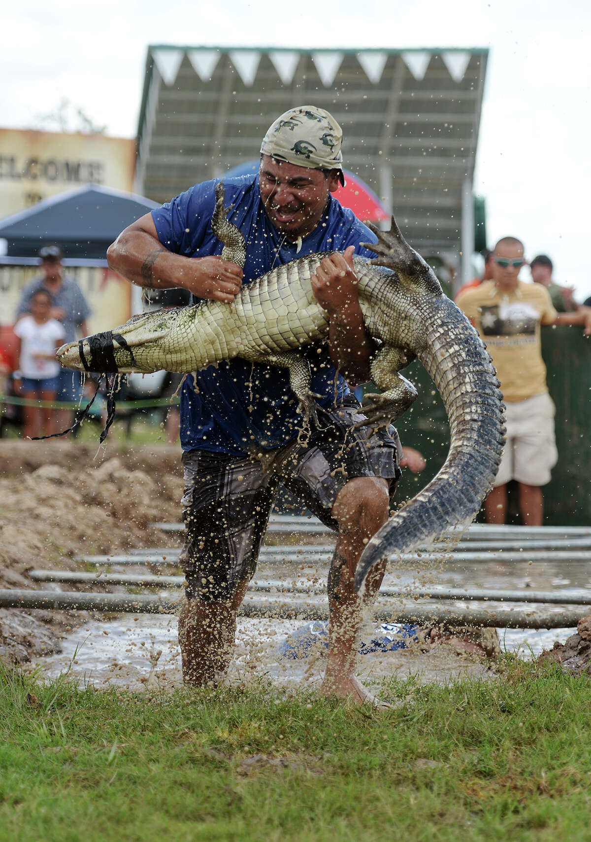 Photos: Gator Country nabs 400 pound monster in Groves