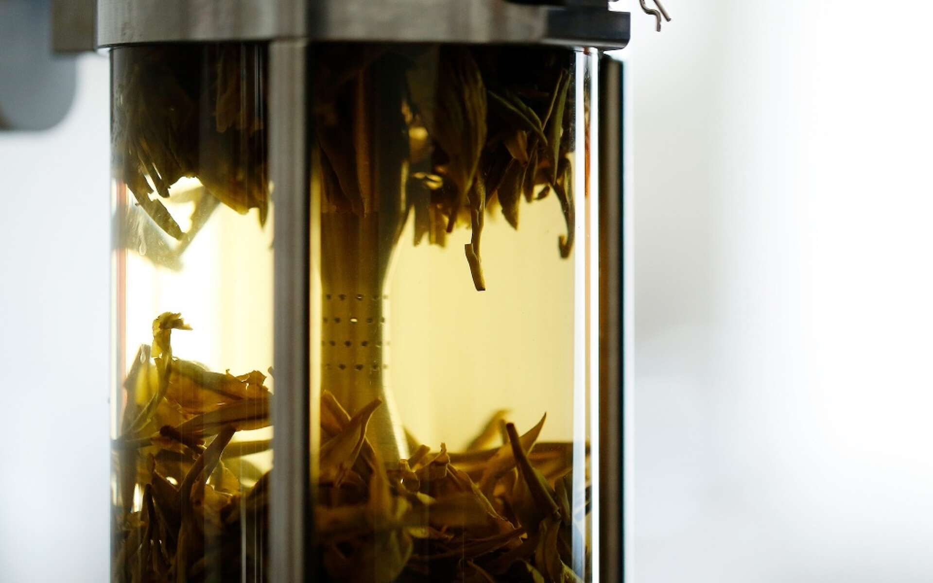 SF tea lounge’s new menu item is a social experiment for customers