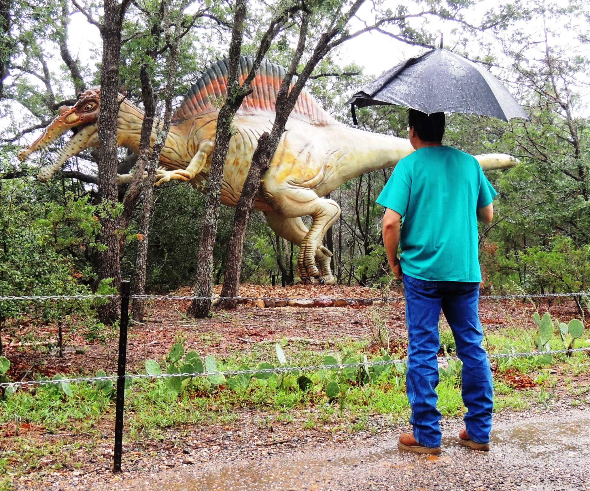 Take a tour of Dinosaur Park Texas and take your picture with a life ...