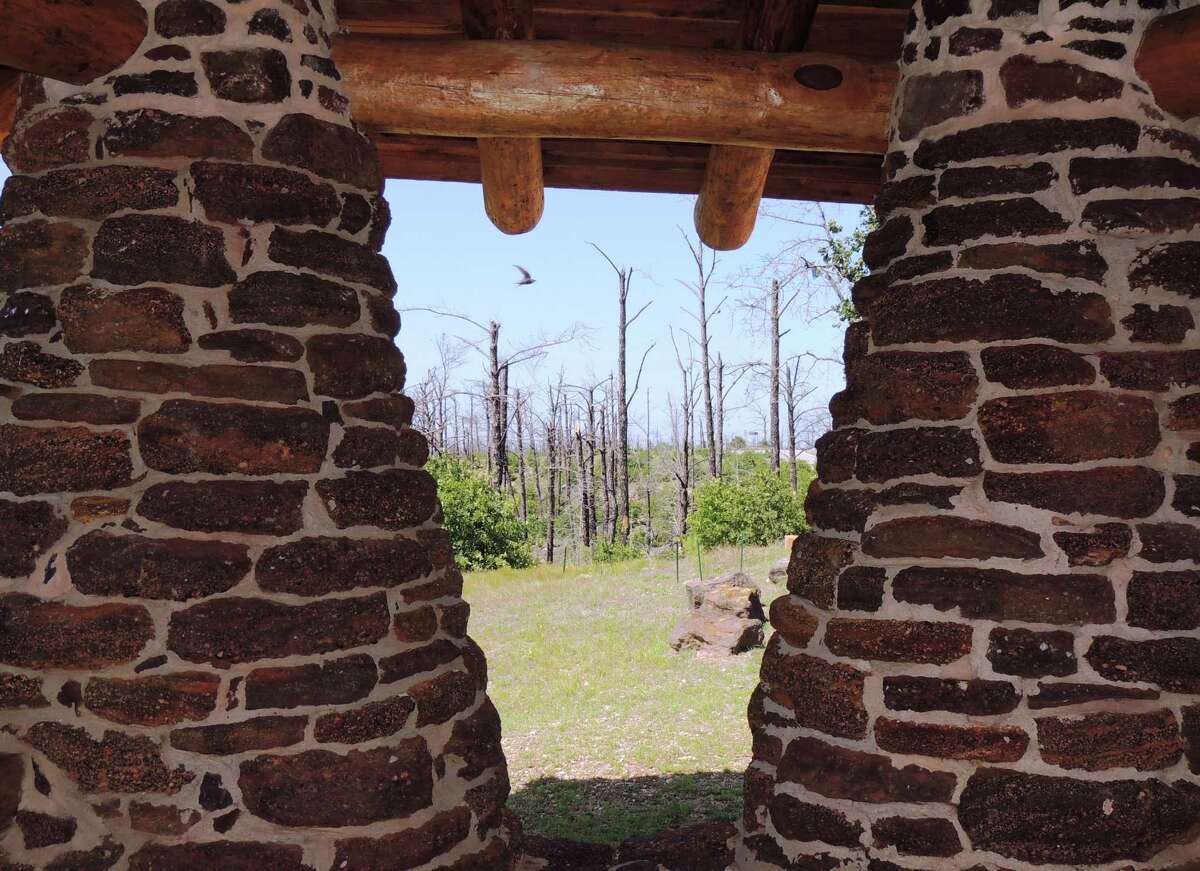 Revisiting Bastrop after the fire