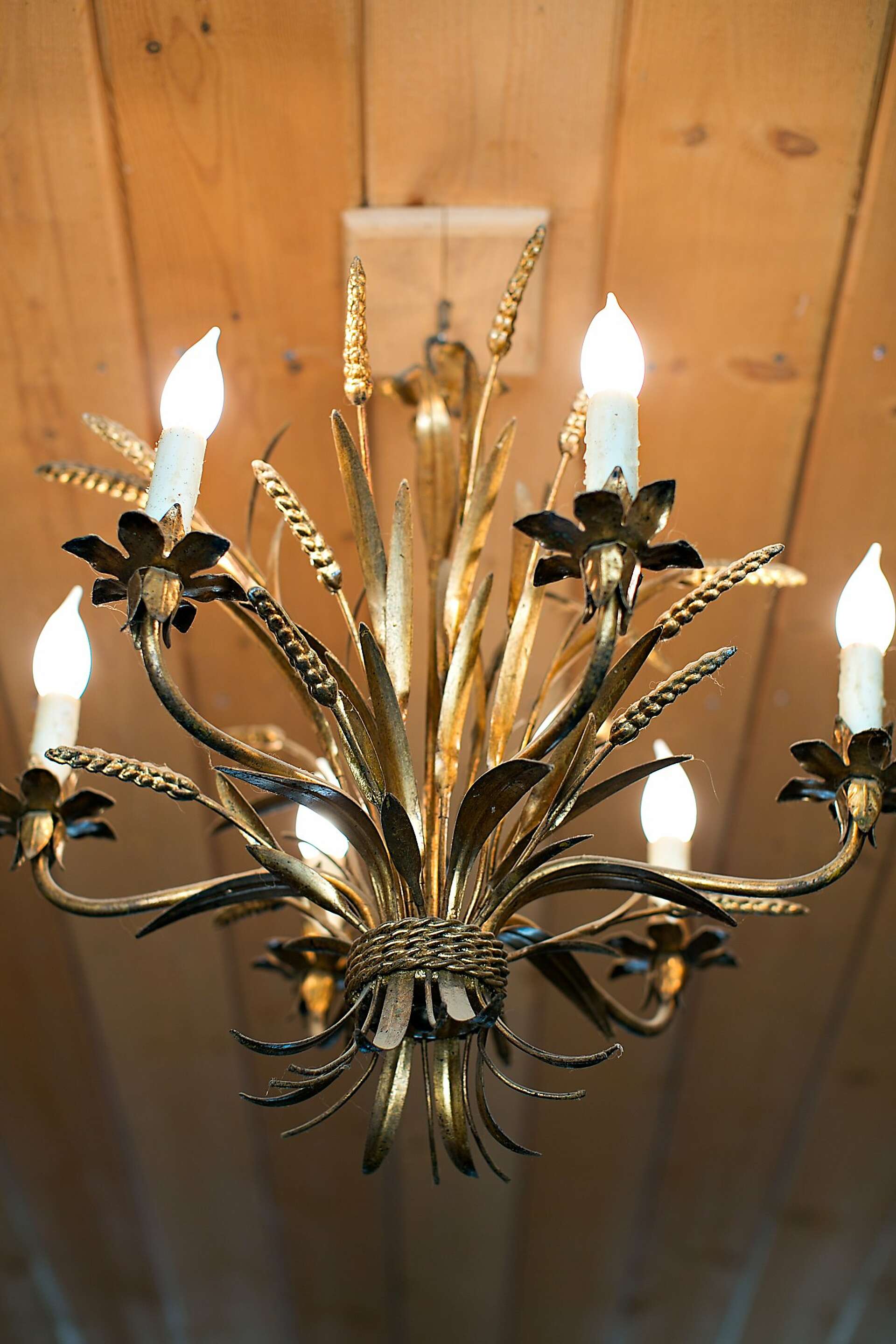 NousDecor's Heather Gillette shares barn with menagerie