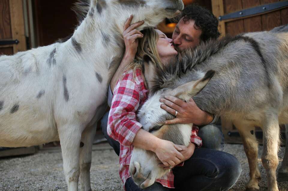 NousDecor's Heather Gillette shares barn with menagerie