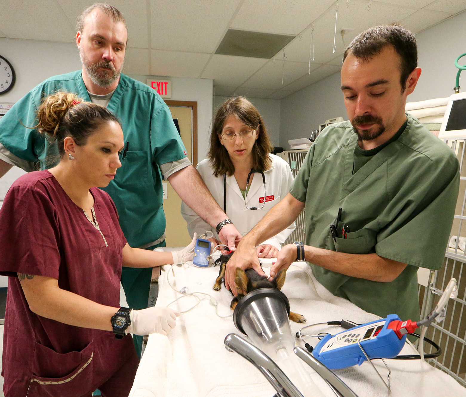 Animal Emergency Room provides medical care and a little loving to ...