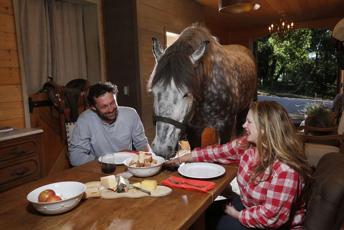 NousDecor's Heather Gillette shares barn with menagerie