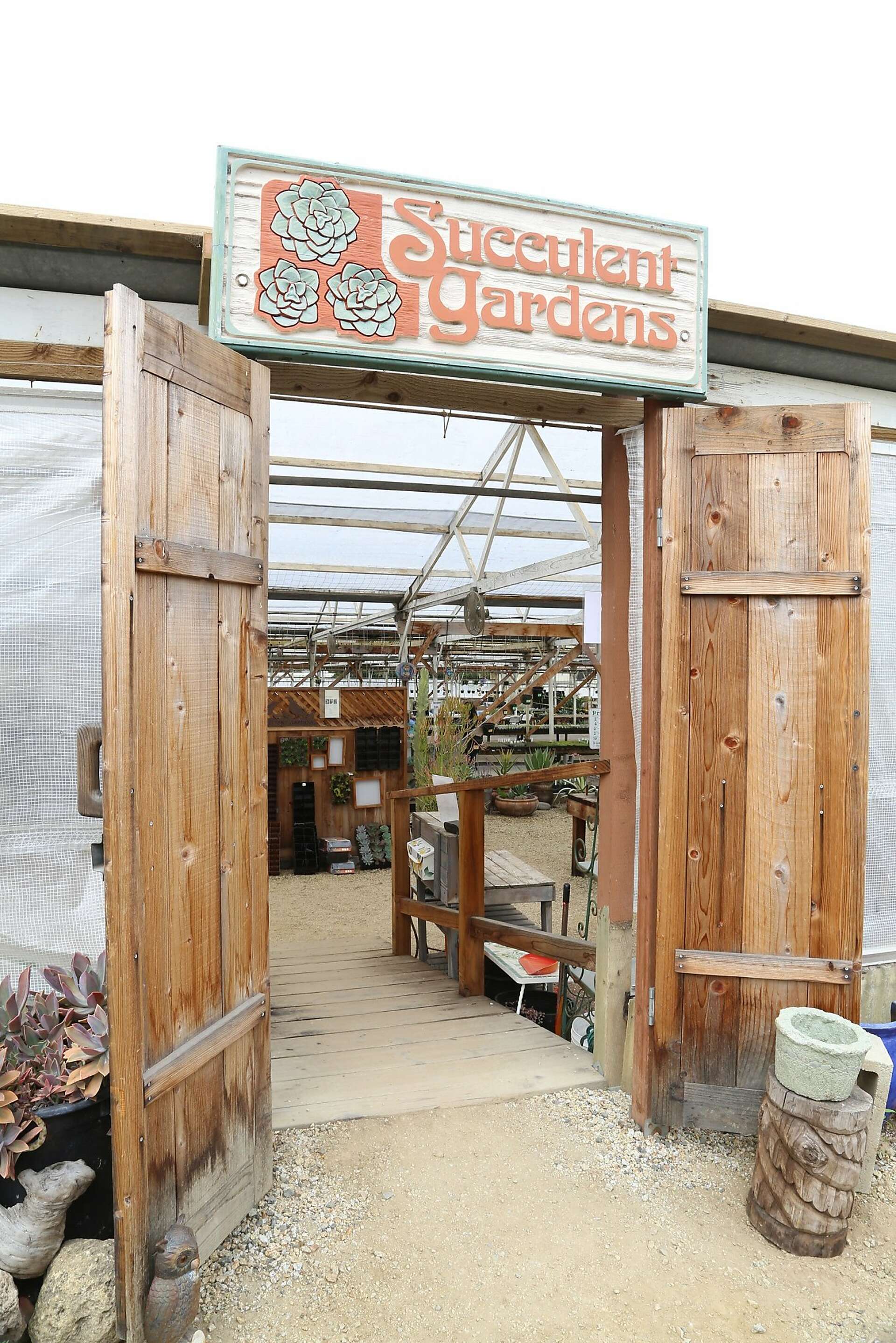 Tour Monterey Bay flower farms