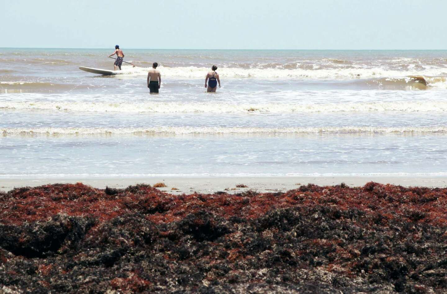 Tourists grumble as beach seaweed clean-up continues