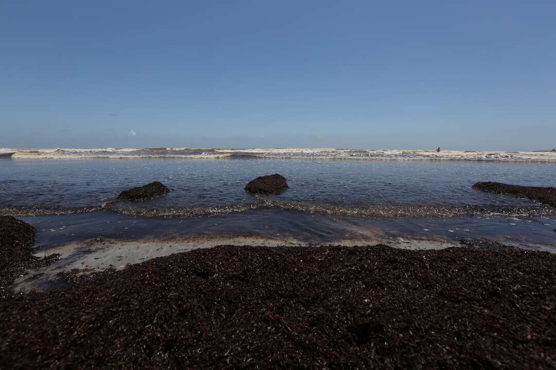 Tourists grumble as Galveston seaweed clean-up continues