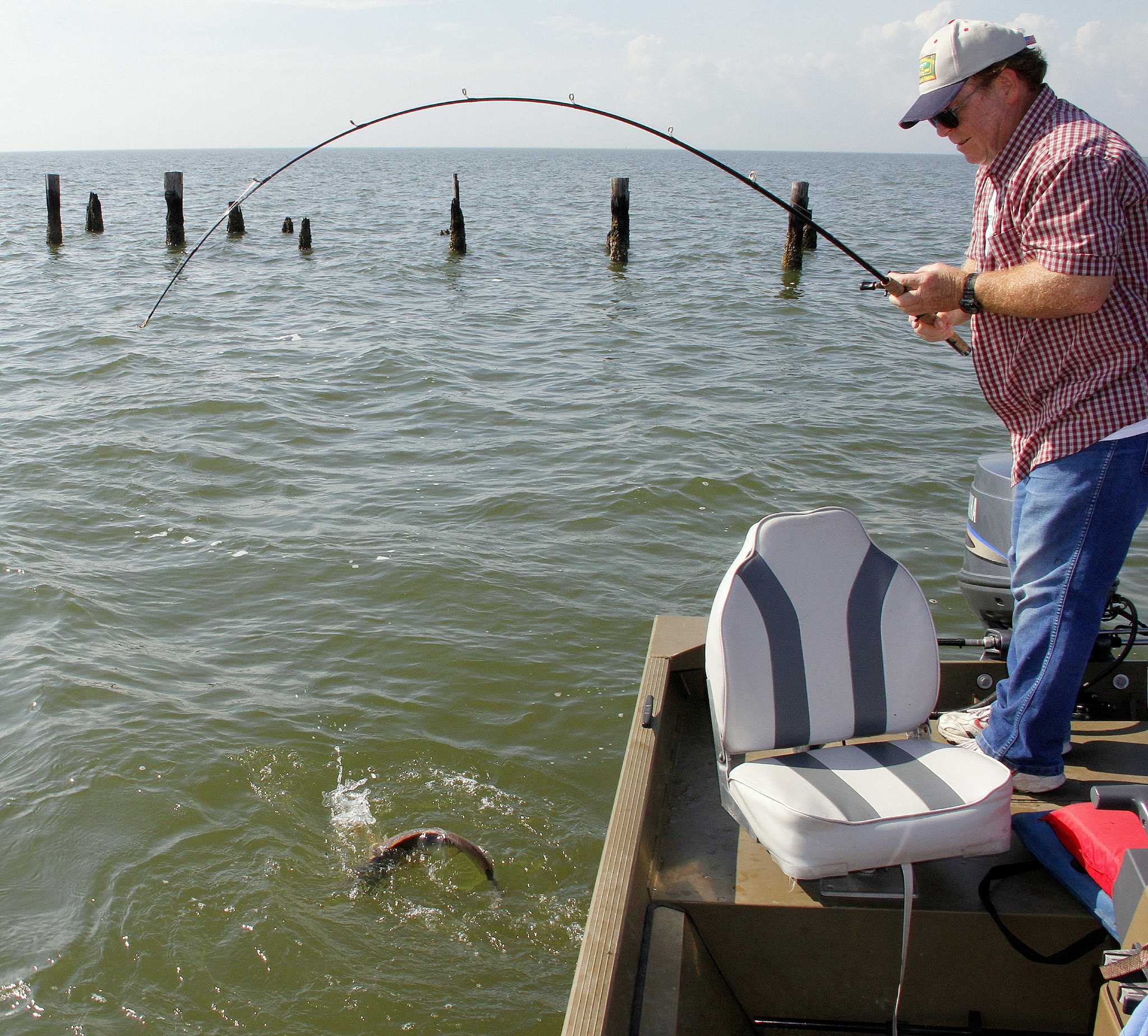 Fish numbers forecast to rise? Signs point to yes