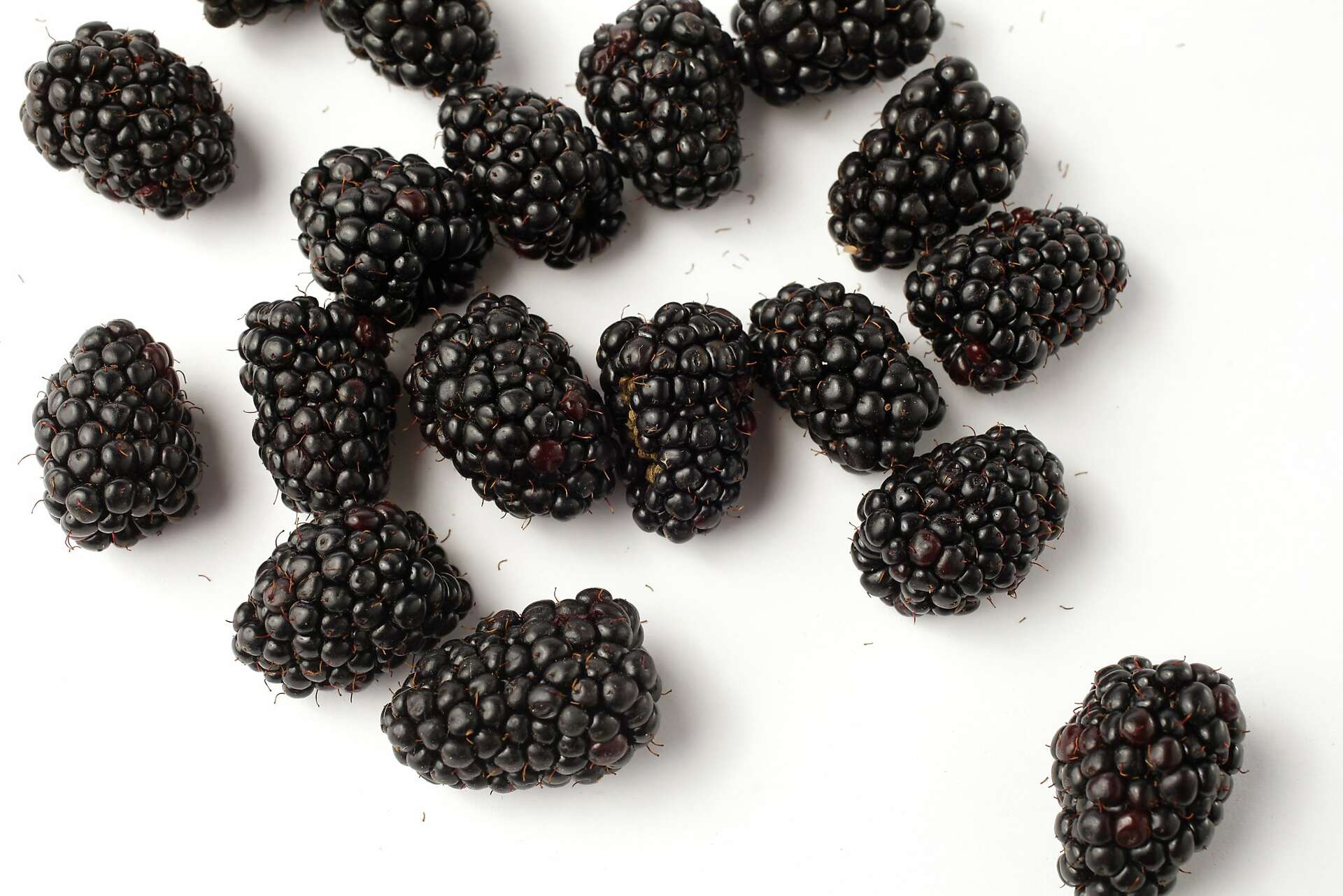 Why Olallieberry is king of the blackberries