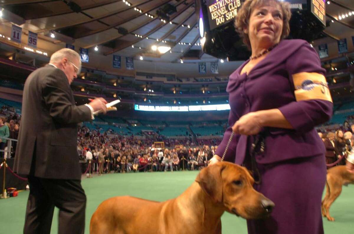 Greenwich dog owners follows show long-distance